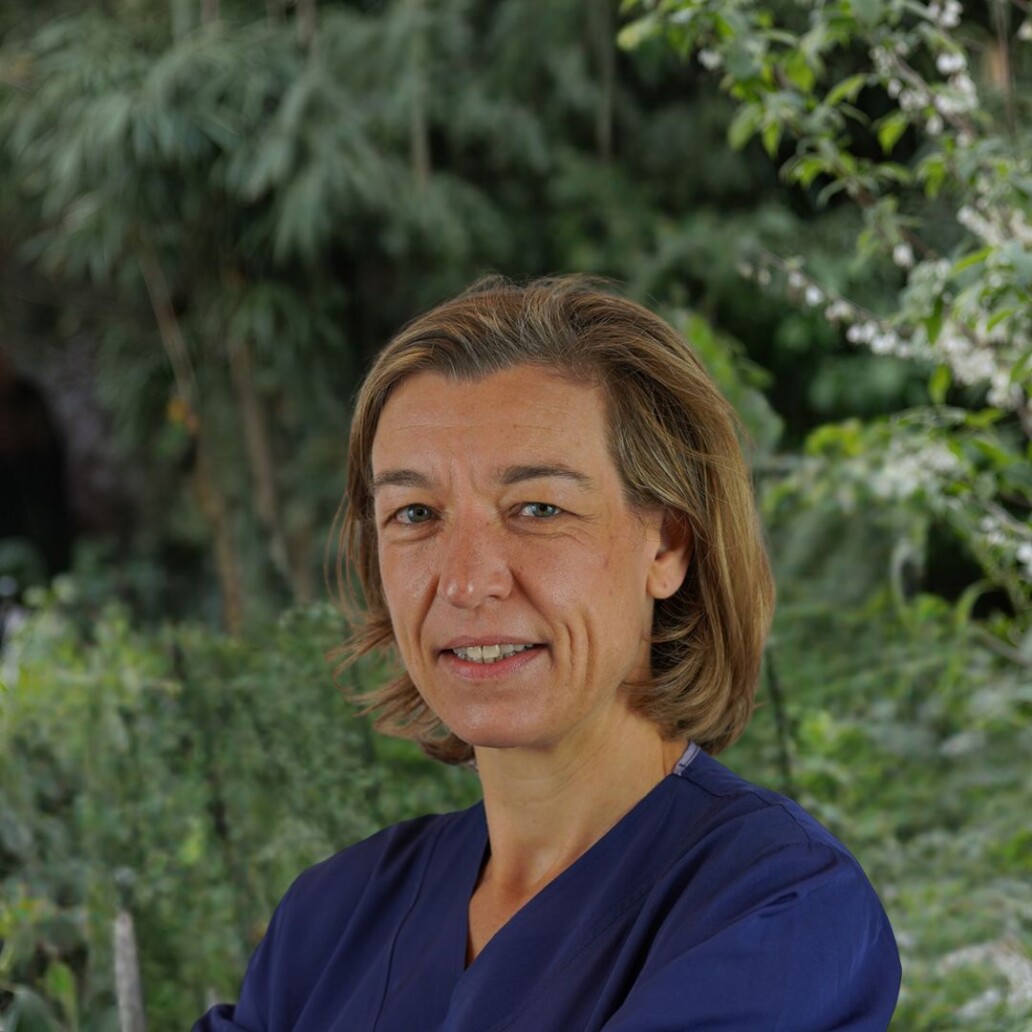 Wie zijn we | Doktershuis Antverpia